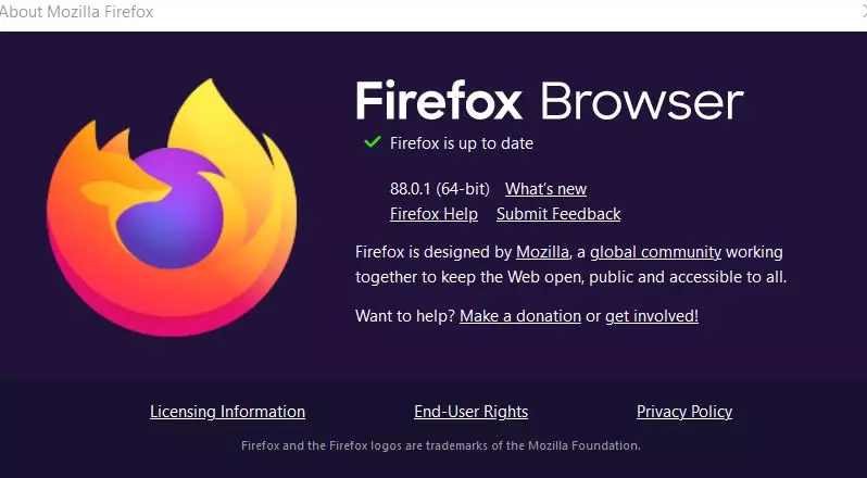 Fix: Firefox Browser hält op Windows PC afréiert 1008_7