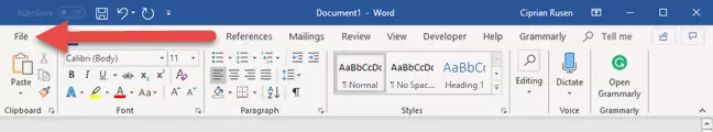 Hoe om donker modus in Microsoft Office te aktiveer? 1144_2