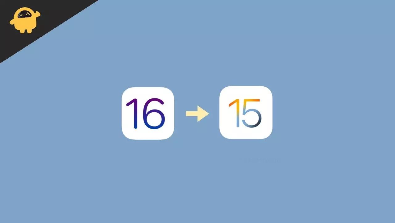 So führen Sie ein Downgrade von iOS 16 auf iOS 15 durch, ohne Daten zu verlieren