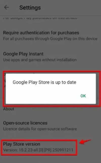 Correção: Erro da Google Play Store DF-DFERH-01 23825_9