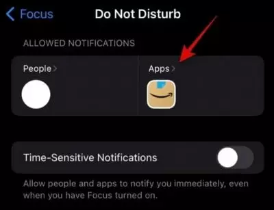 Popravak: Focus Mode ne radi na iOS 15 / iPadOS 15 ili novijim 479_9