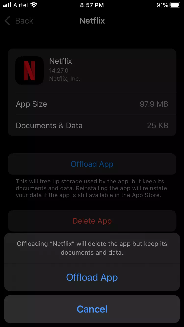 Laden Sie die Netflix-App auf dem iOS-Gerät herunter (7)